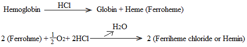 Hemoglobin (Hb) Derivatives & Reactions - BioChemistry