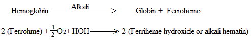 Hemoglobin (Hb) Derivatives & Reactions - BioChemistry